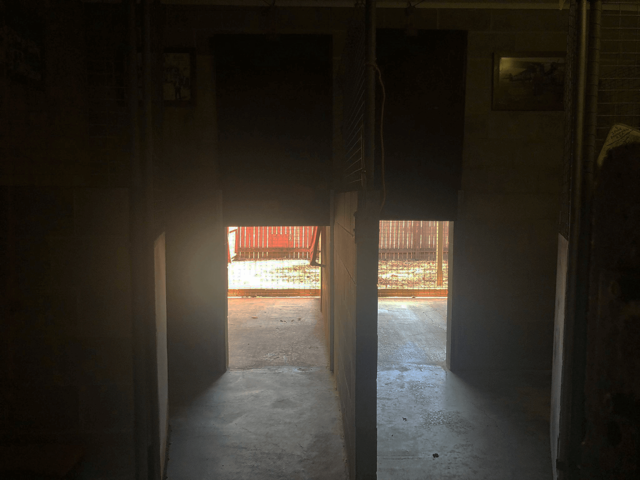 looking through the kennels - Alton Downs Boarding Kennels